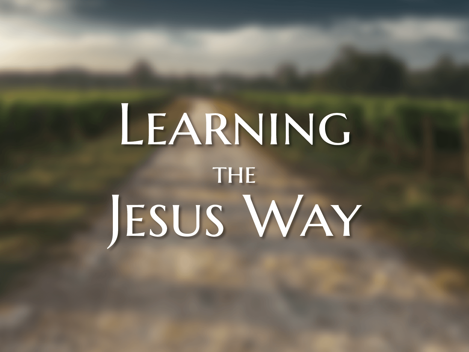 Covenant Presbyterian » Learning the Jesus Way: Called to Bless