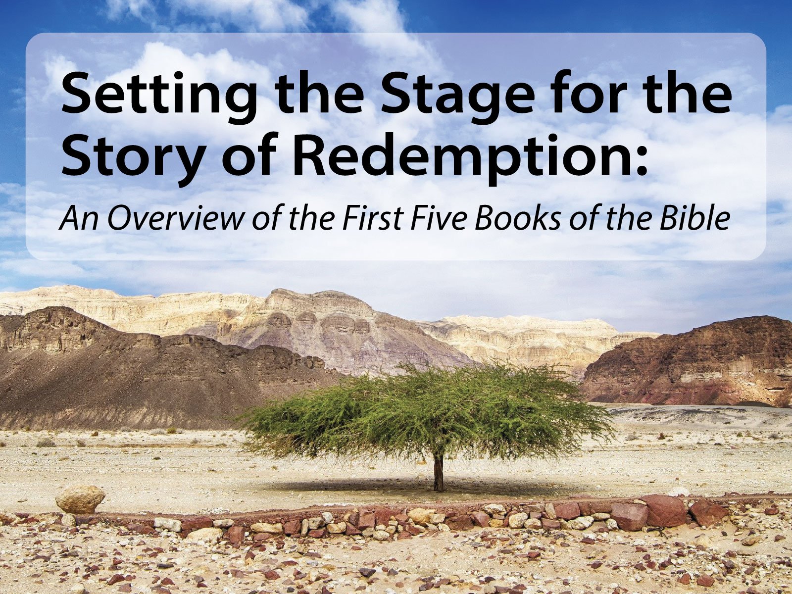 Covenant Presbyterian » Week 2 | Genesis