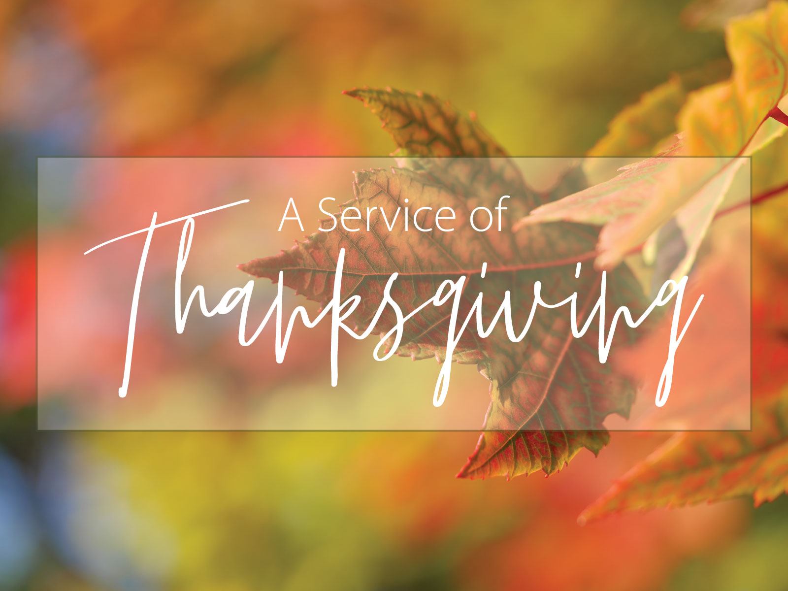 Covenant Presbyterian » Thanksgiving Evening Service 2024