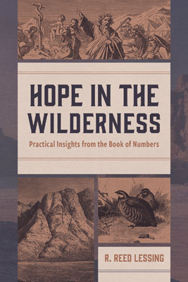 Hope in the Wilderness: Practical Insights from the Book of Numbers ...