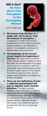 Will It Hurt? - Six Facts about Pain Perception in the Developing Human ...