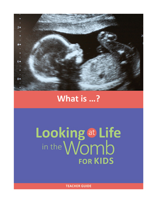 “Looking at Life in the Womb” for Kids: Teacher Guide - Concordia ...