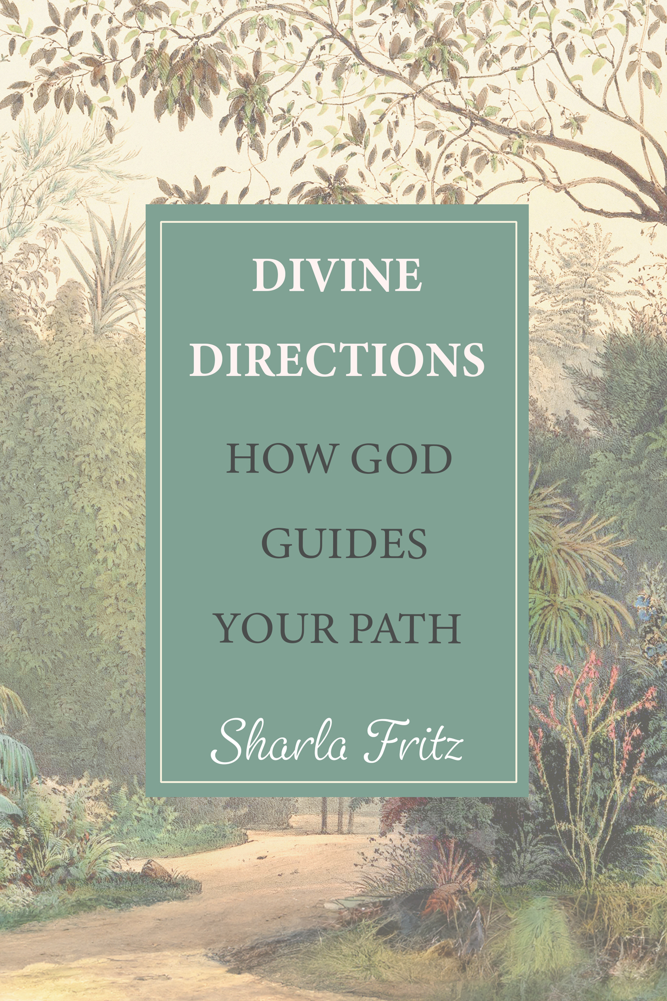 Divine Directions: How God Guides Your Path - Concordia Publishing House