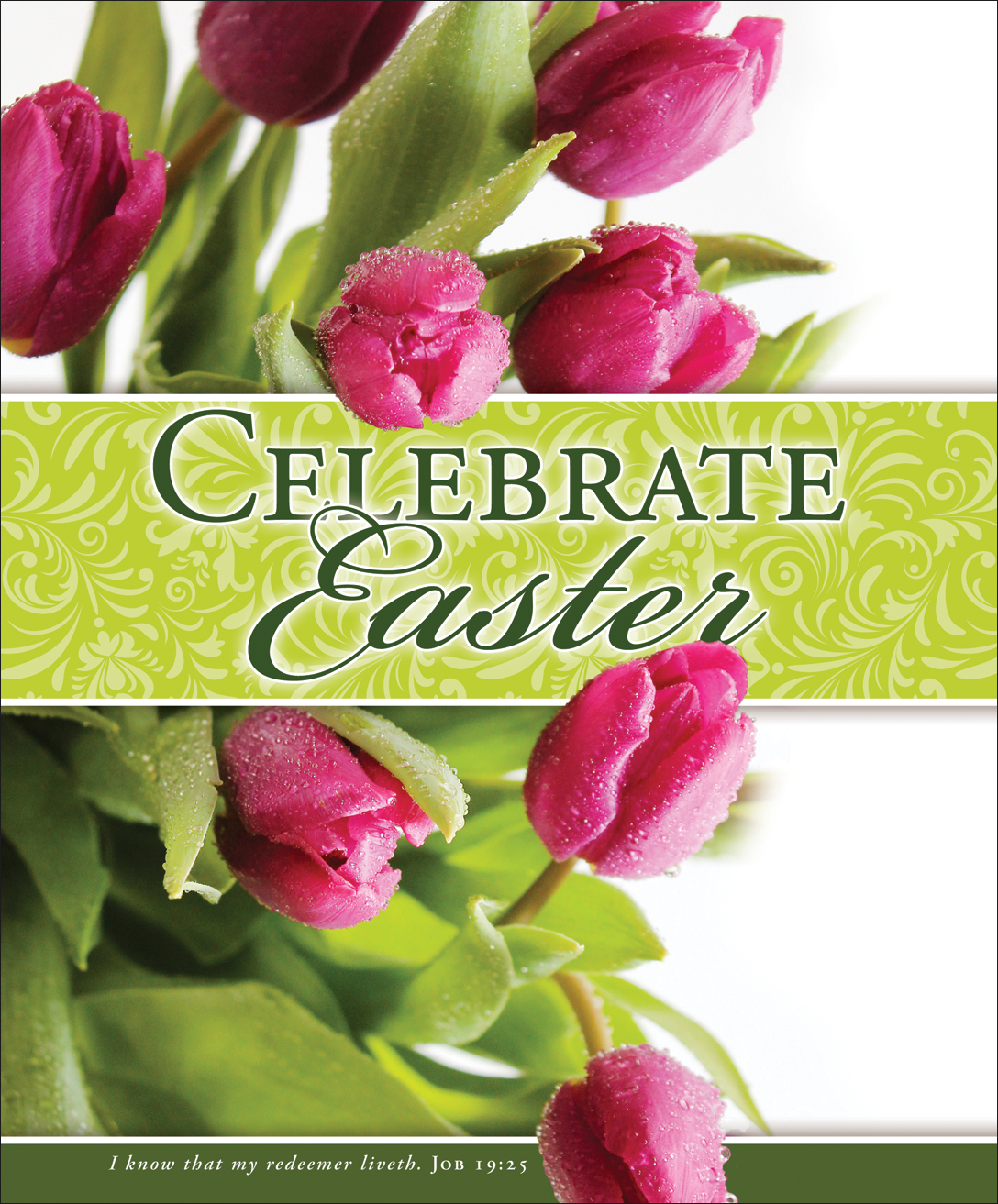 Premium Easter Bulletin: Celebrate Easter - Concordia Publishing House