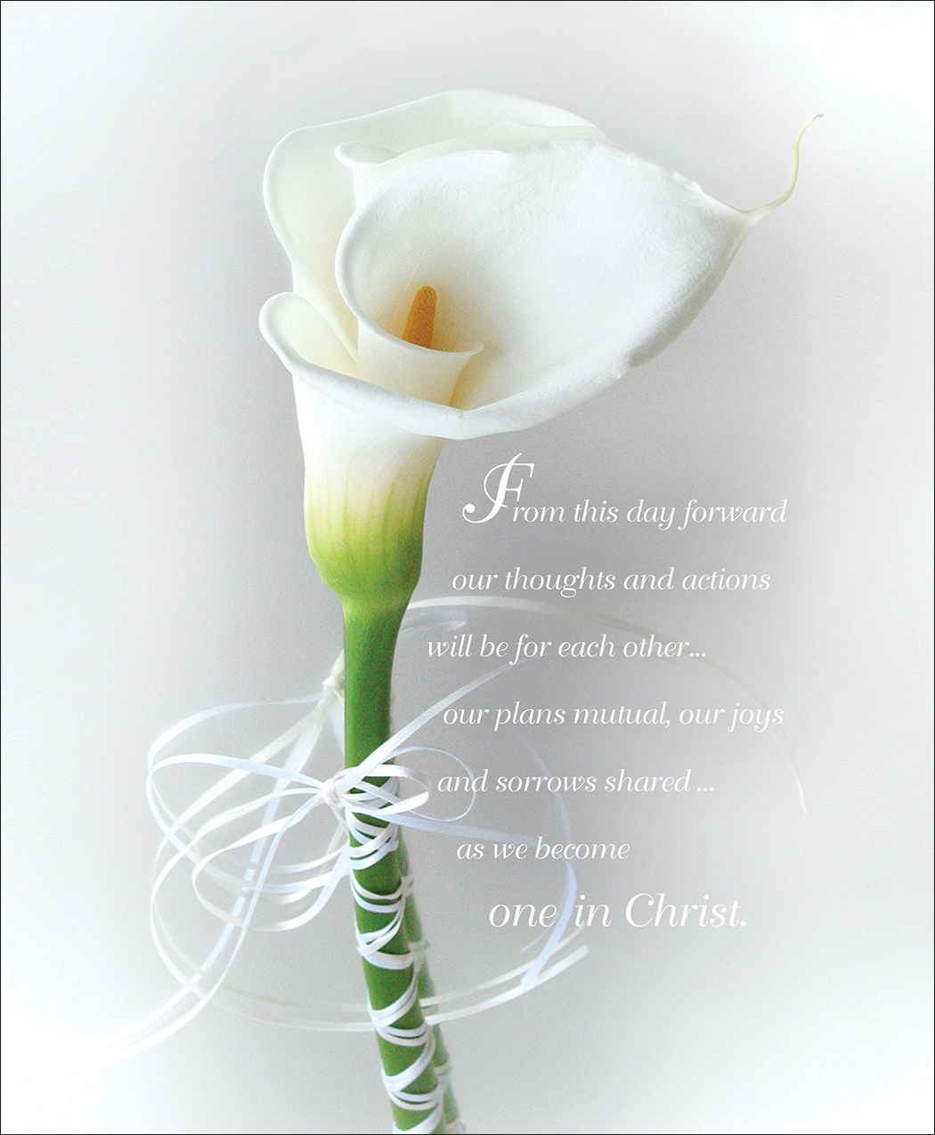 Premium Wedding Bulletin: From this day forward - Concordia Publishing ...