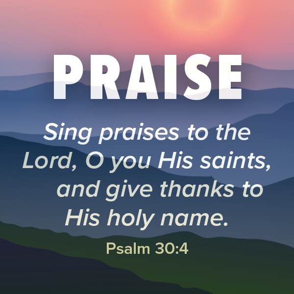 Everlasting: Peaks, Valleys, and Grace in the Psalms - Concordia ...