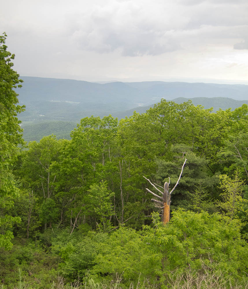 Commitment to the Commitment: Riding the Eastern TAT | Adventure Rider