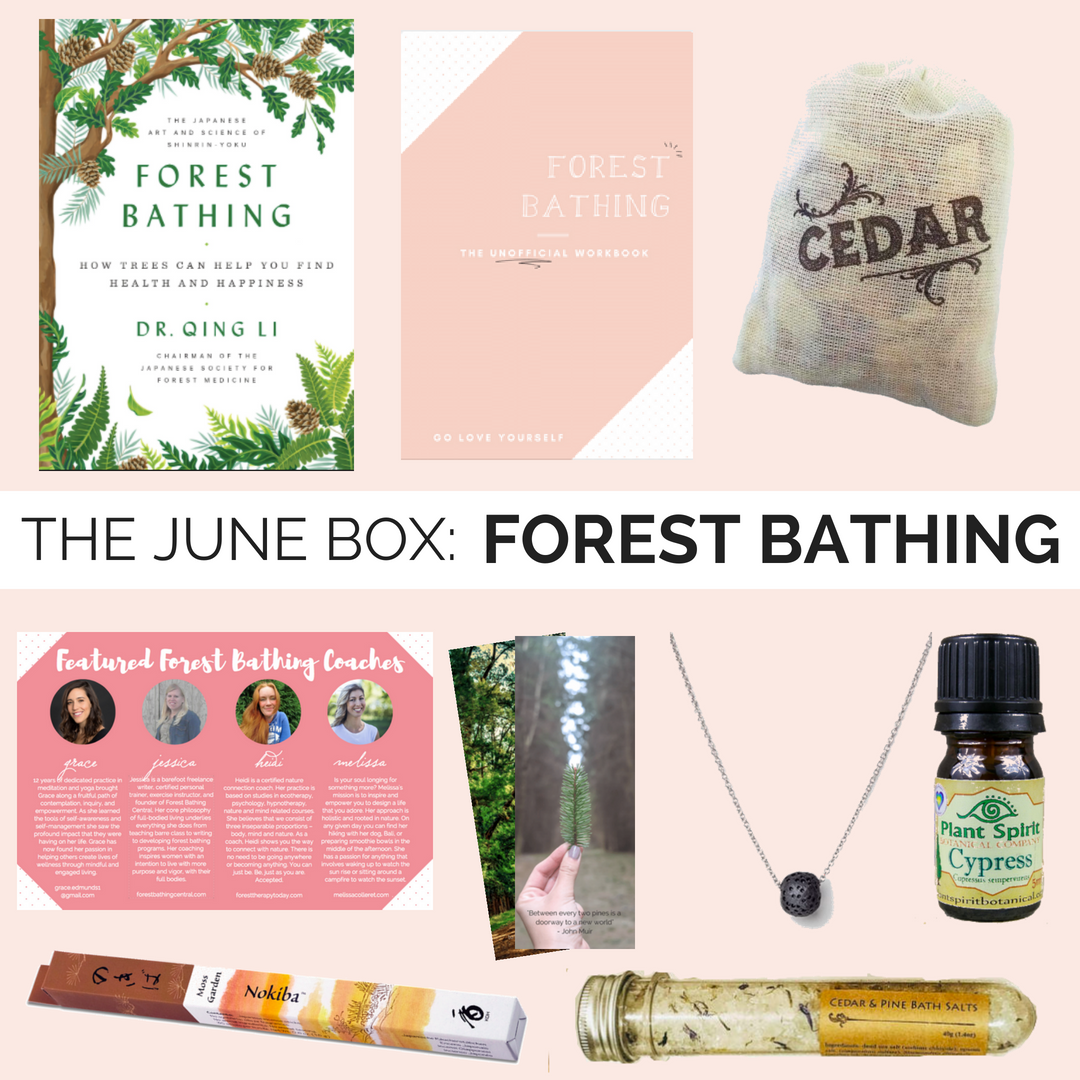 Gifts for the Forest Bathing and Nature Enthusiast - Forest Bathing Central