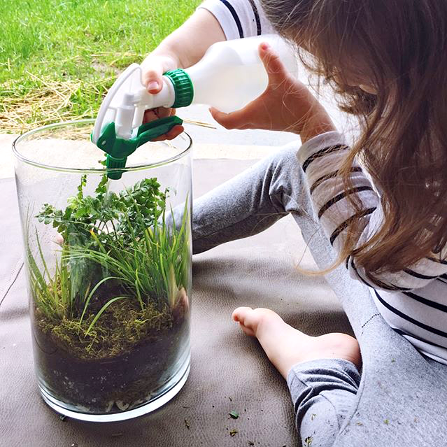 My Garden Box - Subscribe