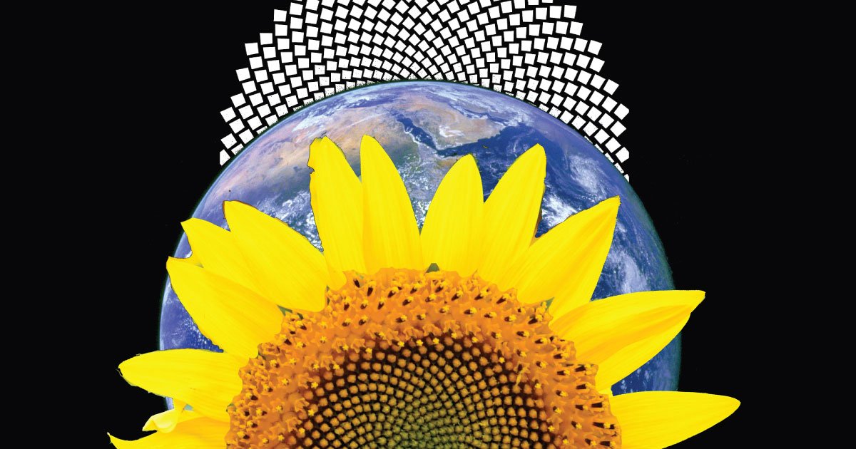 Beautiful Discovery - Home