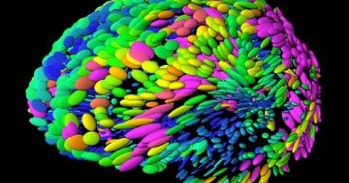 The Creativity Post | Personal Brain Management: Ready for Prime Time?