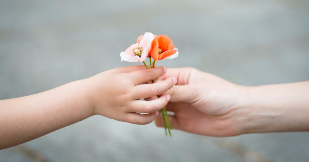 Refocus Clipart Flower