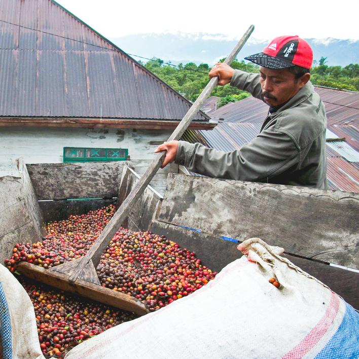 Sumatra Permata Gayo coffee by Higher Grounds Coffee on Crema.co