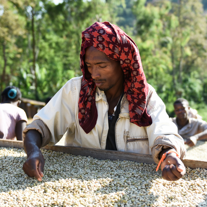 Ethiopia Yukro coffee by Case Coffee Roasters on Crema.co
