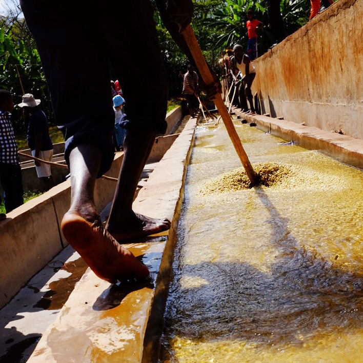 Ethiopia Uraga coffee by Onyx Coffee Lab on Crema.co