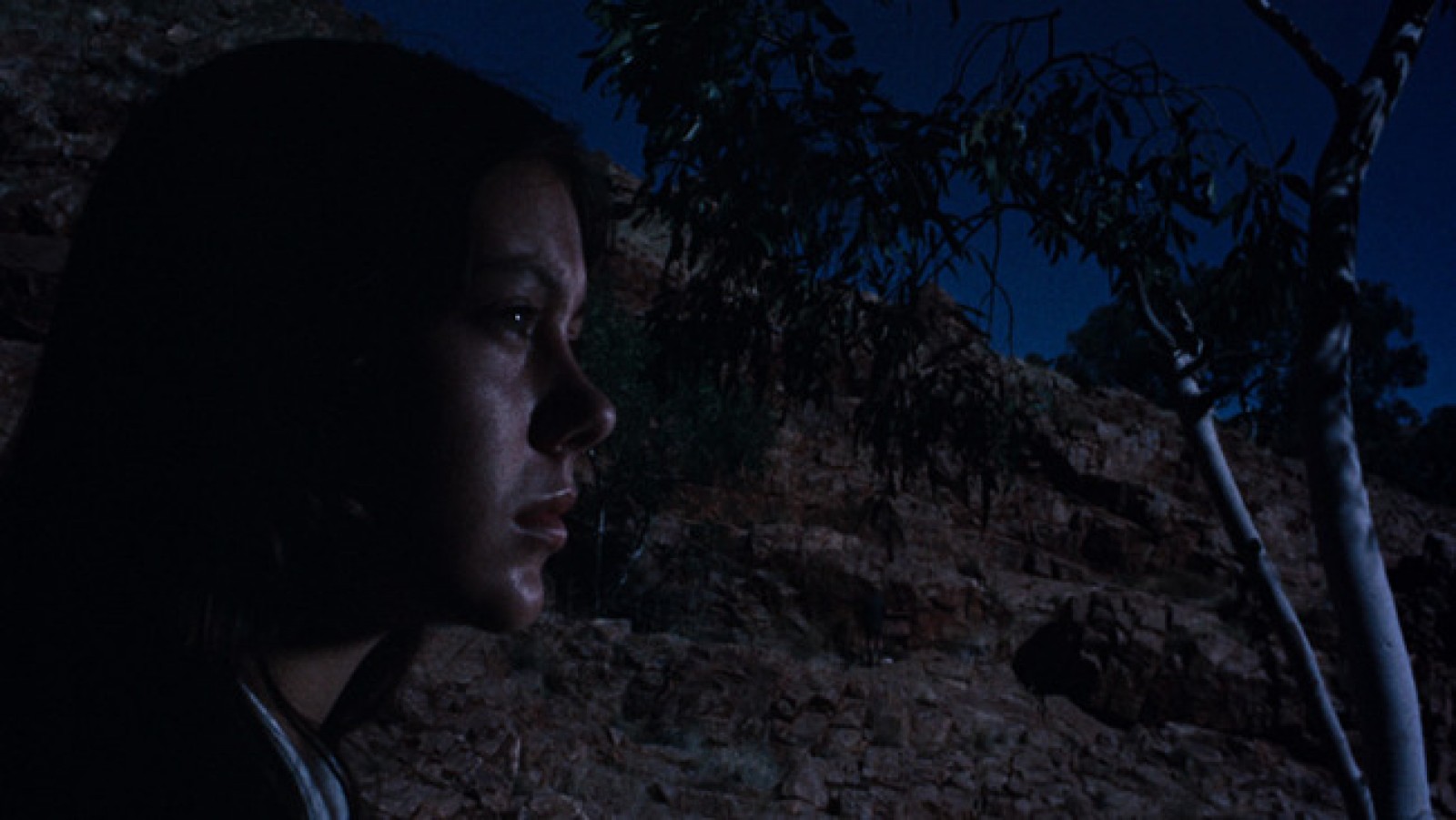 Walkabout (1971) | The Criterion Collection