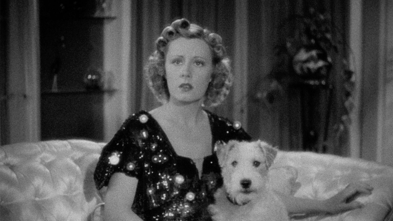 Hollywood’s Top Dog | Current | The Criterion Collection