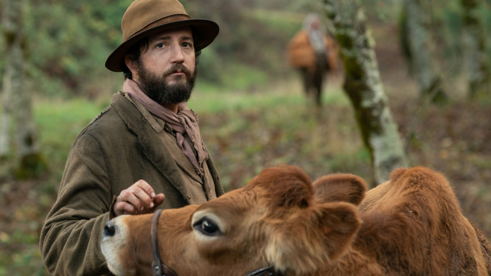 NYFF Main Slate and TIFF Platform Lineup | Current | The Criterion ...