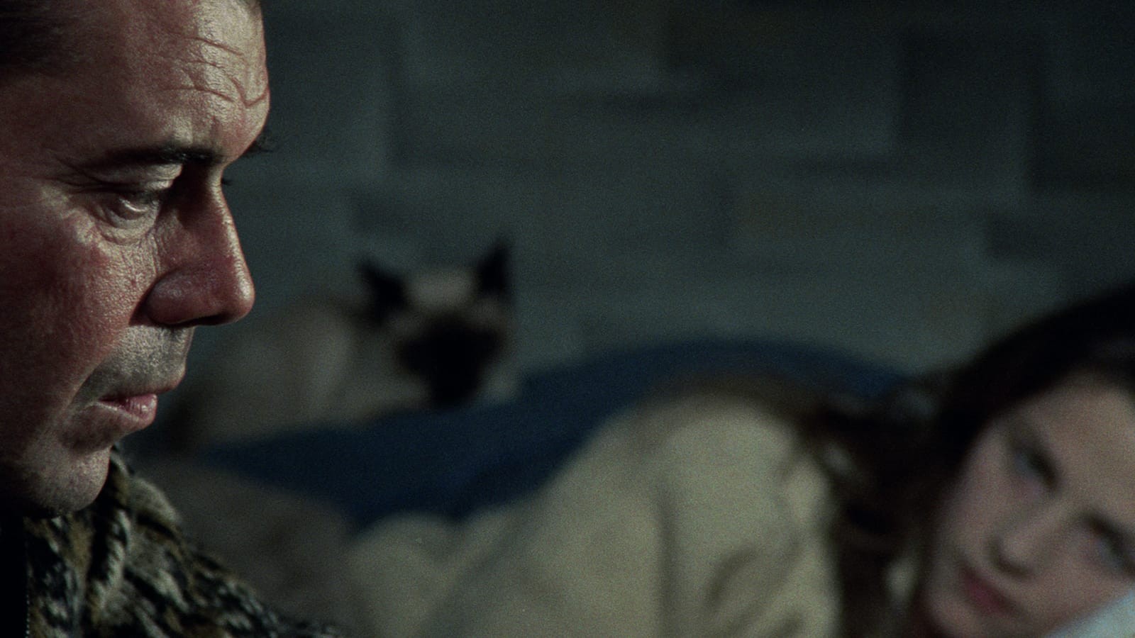 The Night Porter (1974) | The Criterion Collection