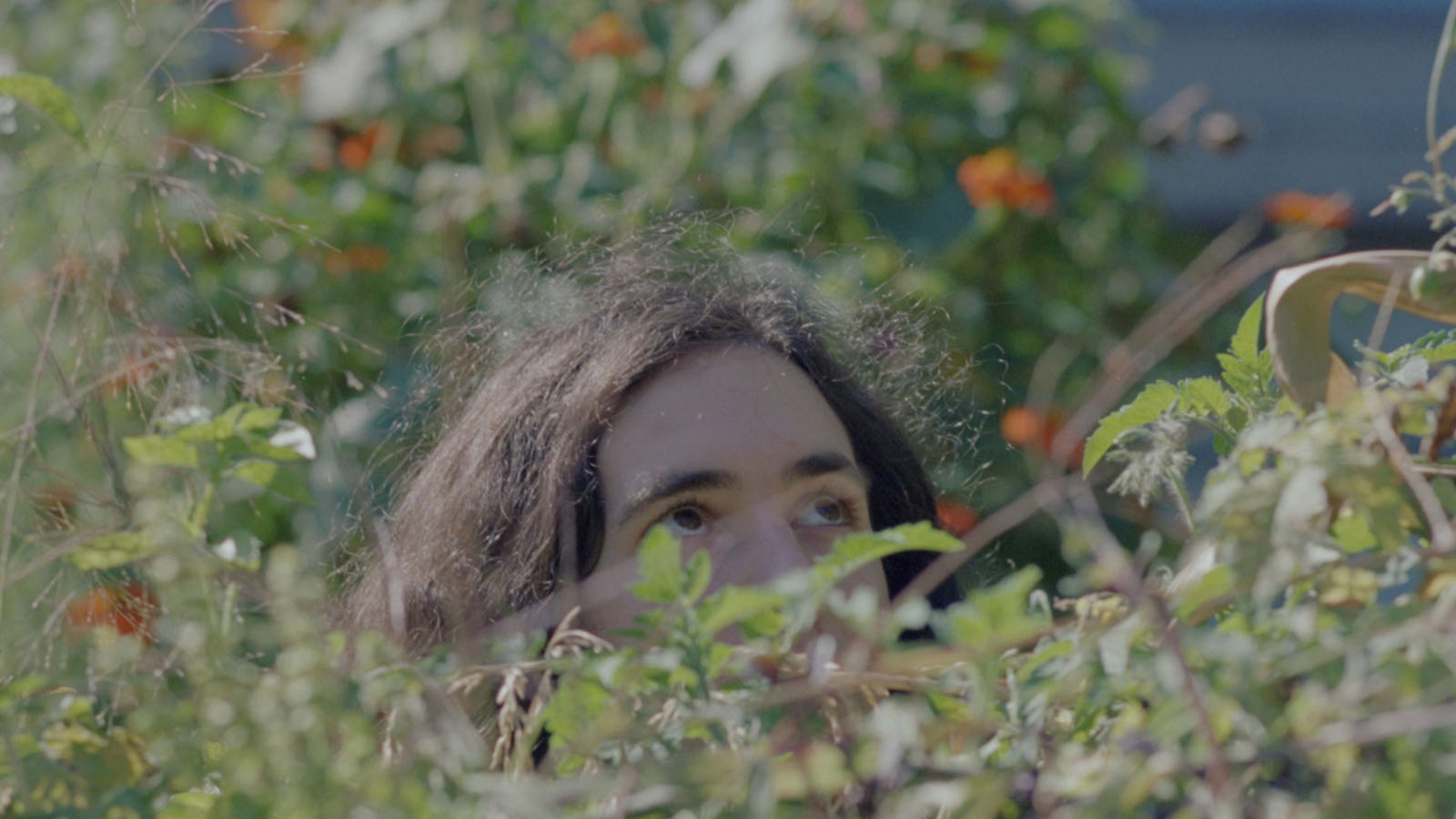 Currents: Code Unknown | Current | The Criterion Collection