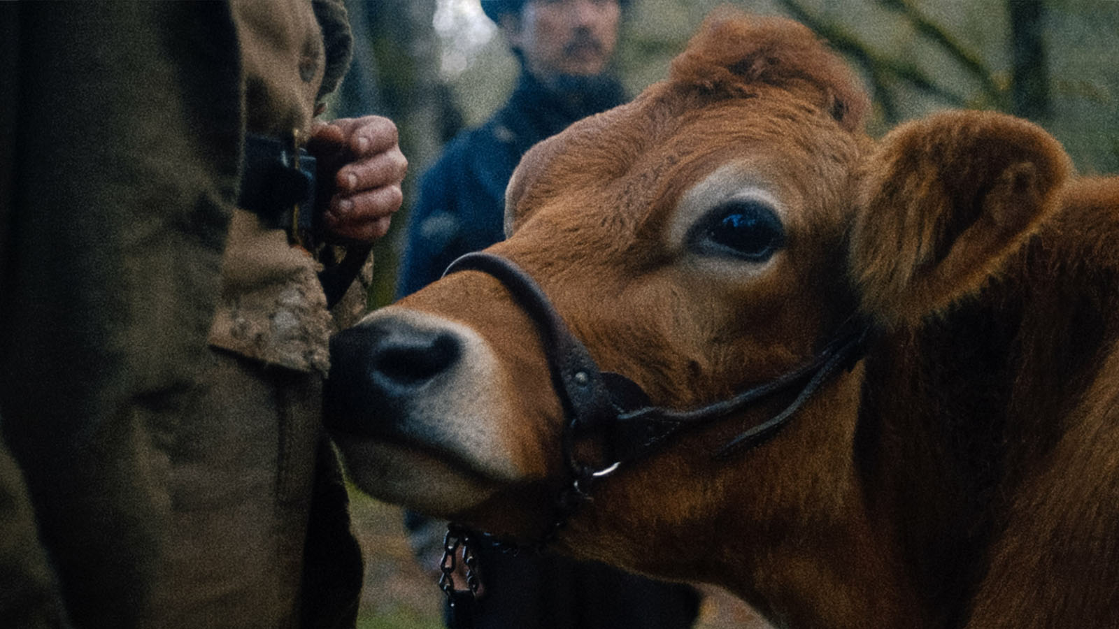 First Cow Leads the Gotham Awards Nominations | Current | The Criterion ...