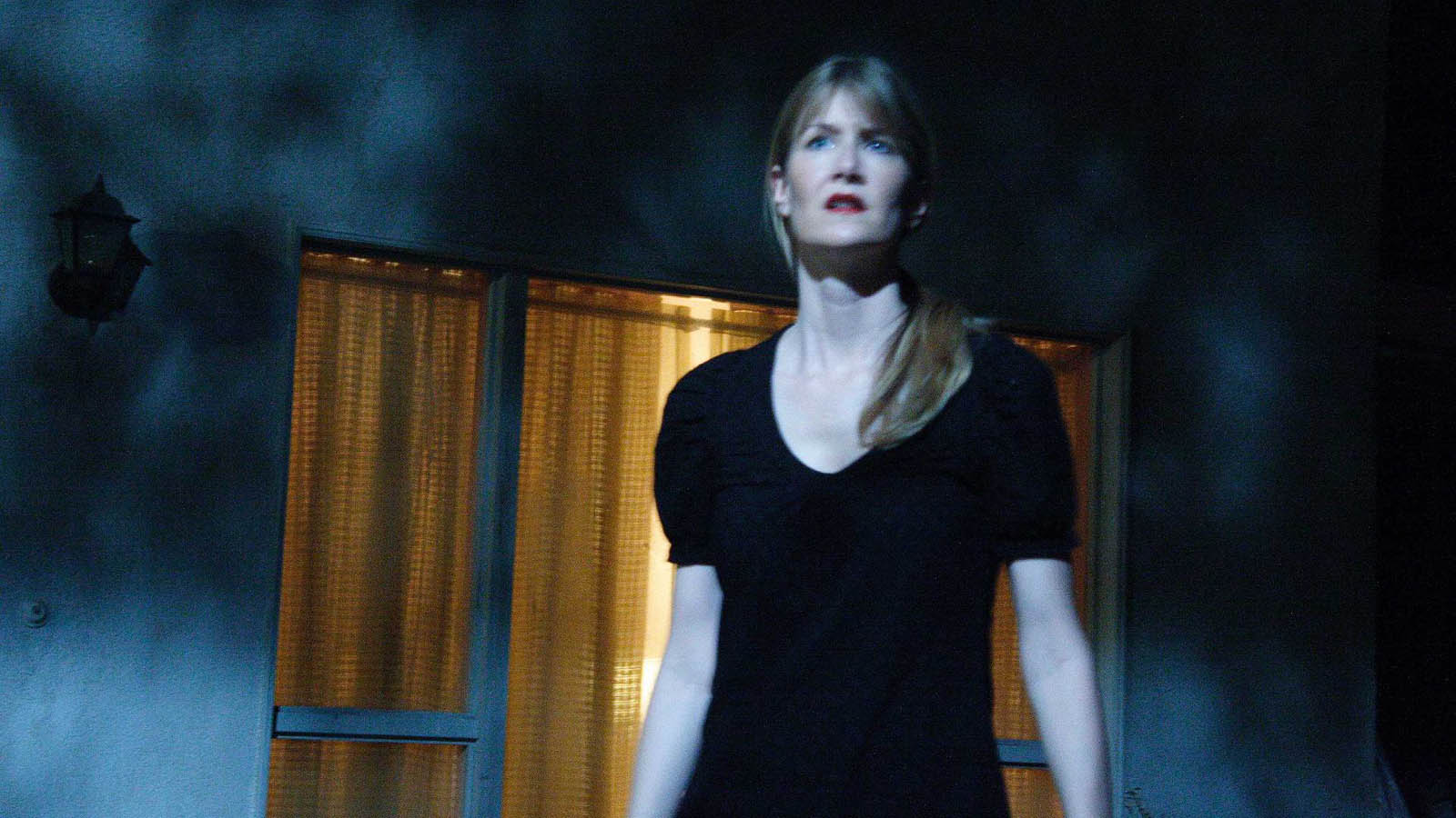 Perpetual Evolution | Current | The Criterion Collection