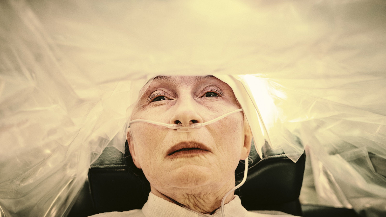 TIFF and the NYFF’s Expanding Lineups | Current | The Criterion Collection