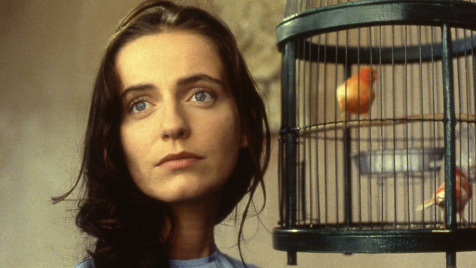 Directors’ Fortnight 2023 Lineup | Current | The Criterion Collection