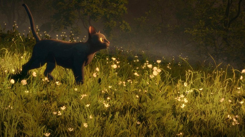 Teri Garr’s Singular Charm | Current | The Criterion Collection