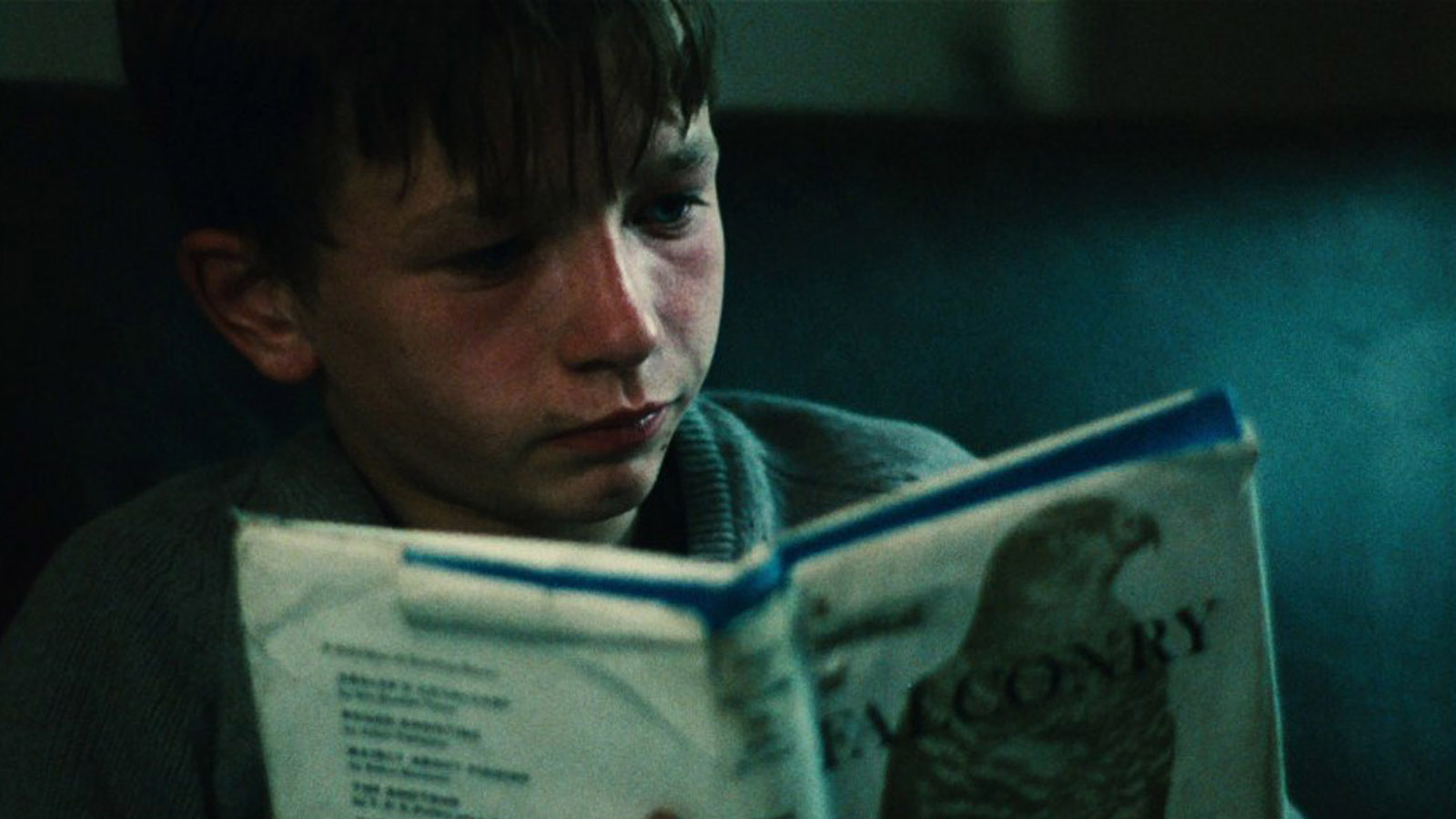 February Books | Current | The Criterion Collection