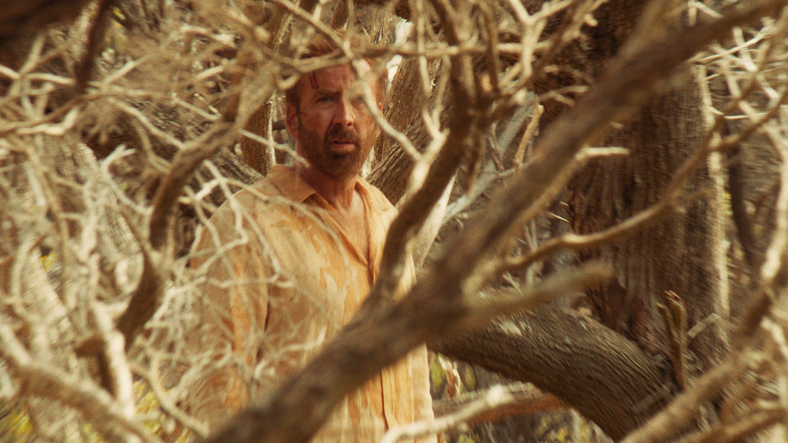 Boston Underground 2025 | Current | The Criterion Collection