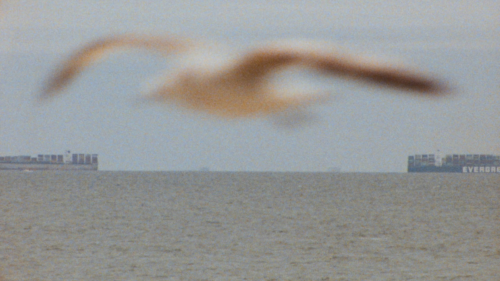 Sam Fleischner’s Jetty | Current | The Criterion Collection