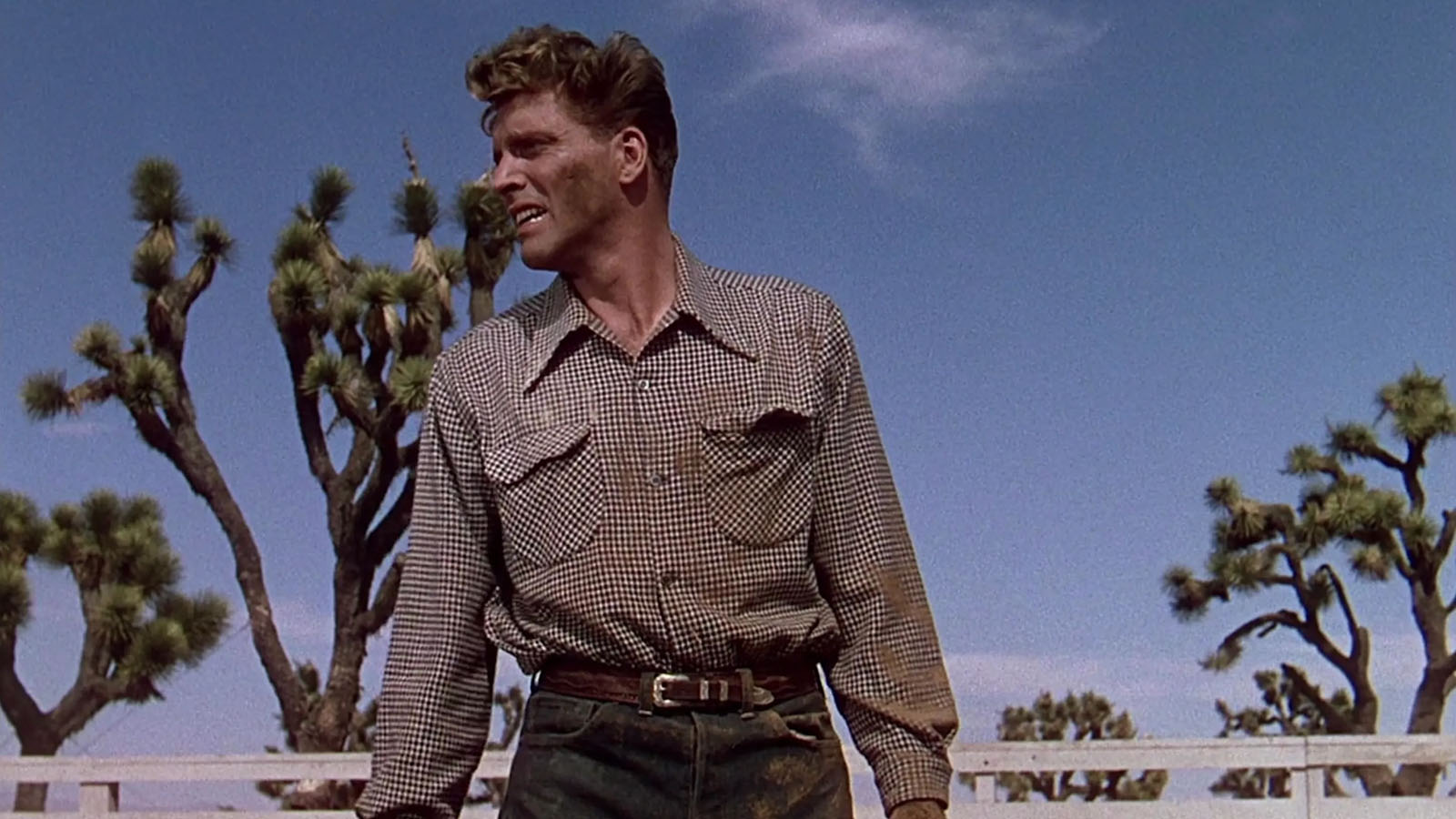 Noir Beyond the City | Current | The Criterion Collection