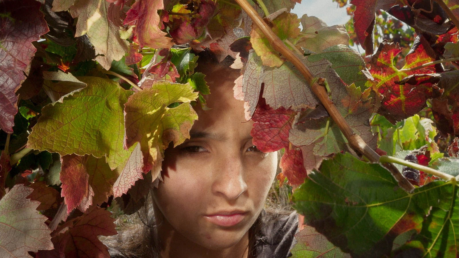 Marta Mateus: Under the Sun and Moon | Current | The Criterion Collection