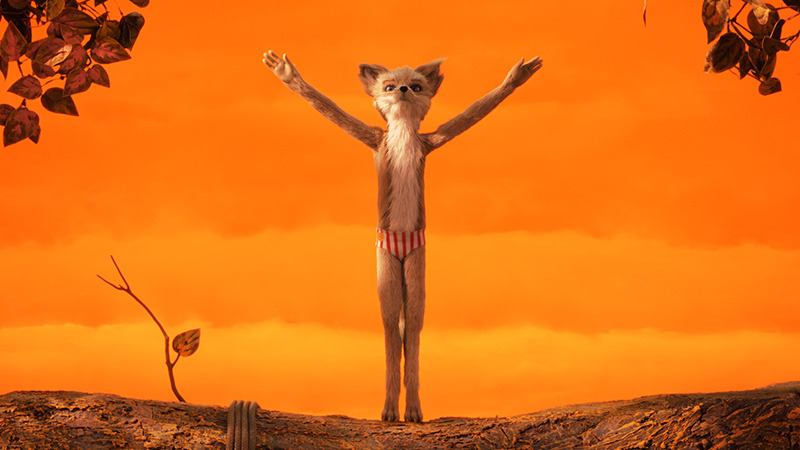 Fantastic Mr. Fox: Vulpine Nature - From the Current - The Criterion ...