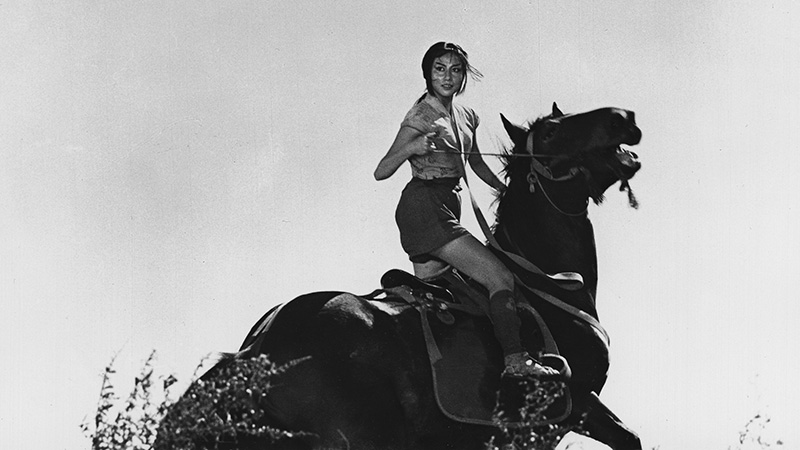 The Hidden Fortress: Three Good Men and a Princess | Current | The ...