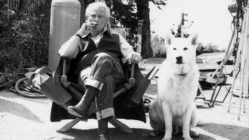 White Dog: Sam Fuller Unmuzzled - From the Current - The Criterion ...