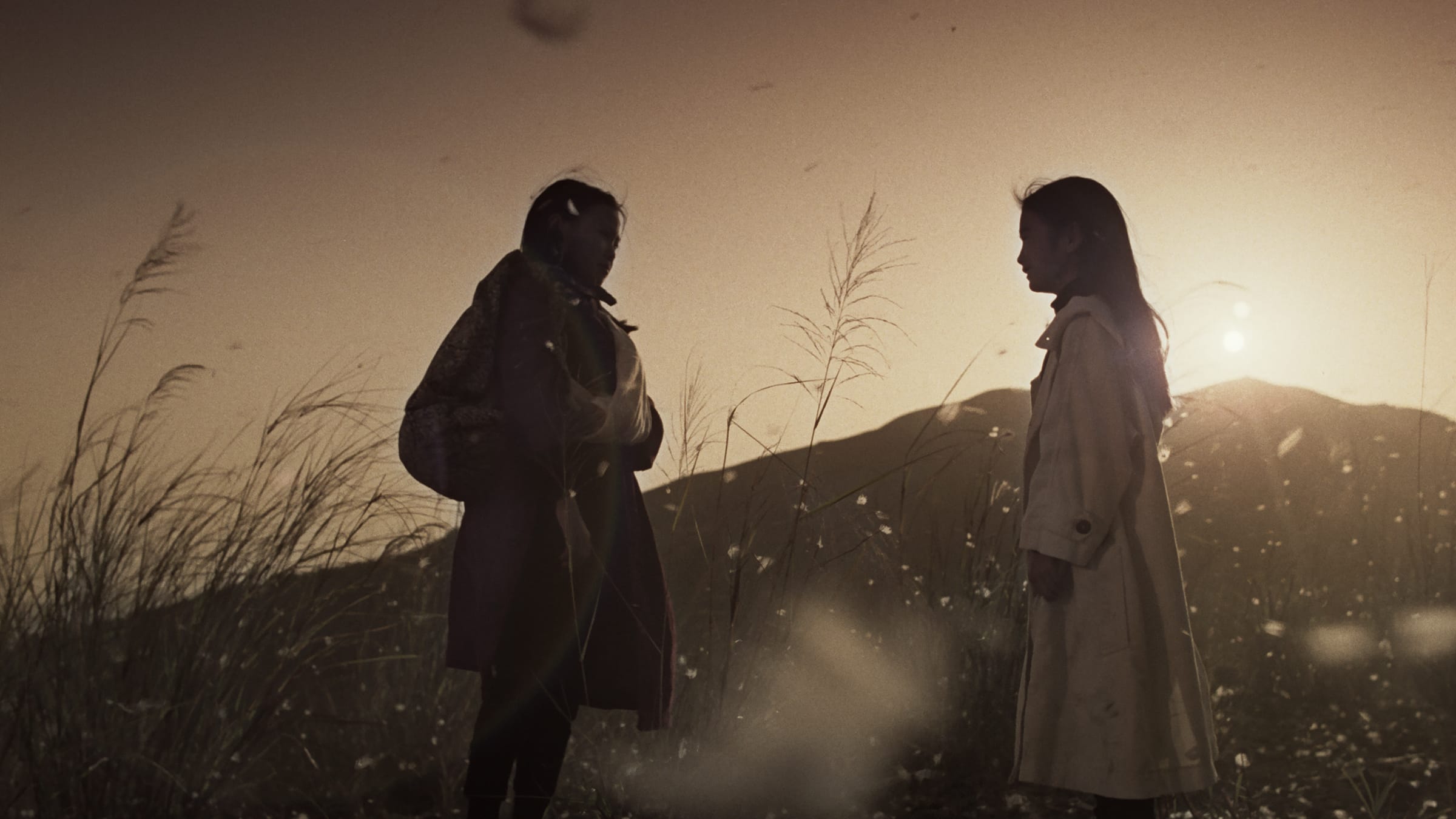 Box Sets | The Criterion Collection