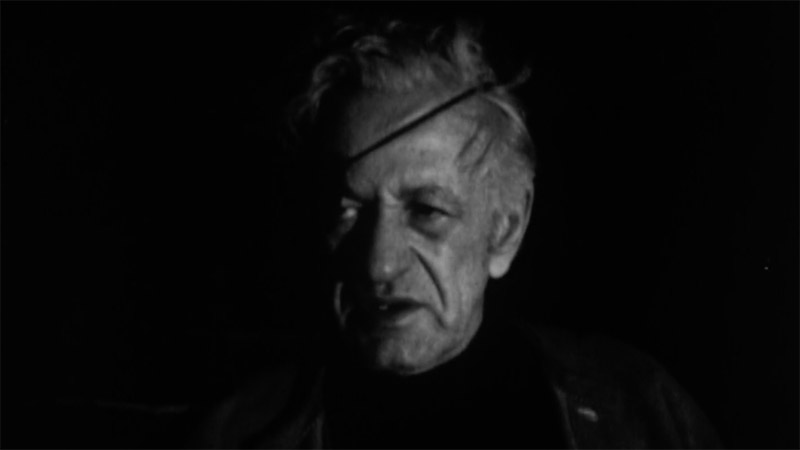A Birthday Tribute to Nicholas Ray | Current | The Criterion Collection