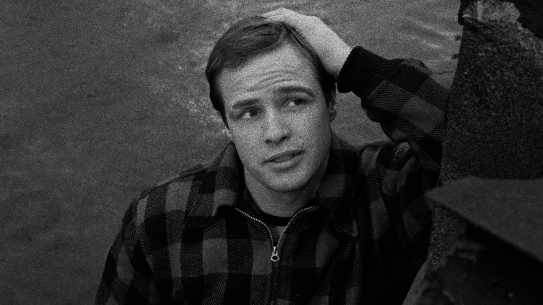 Iconic Brando in Berkeley | Current | The Criterion Collection