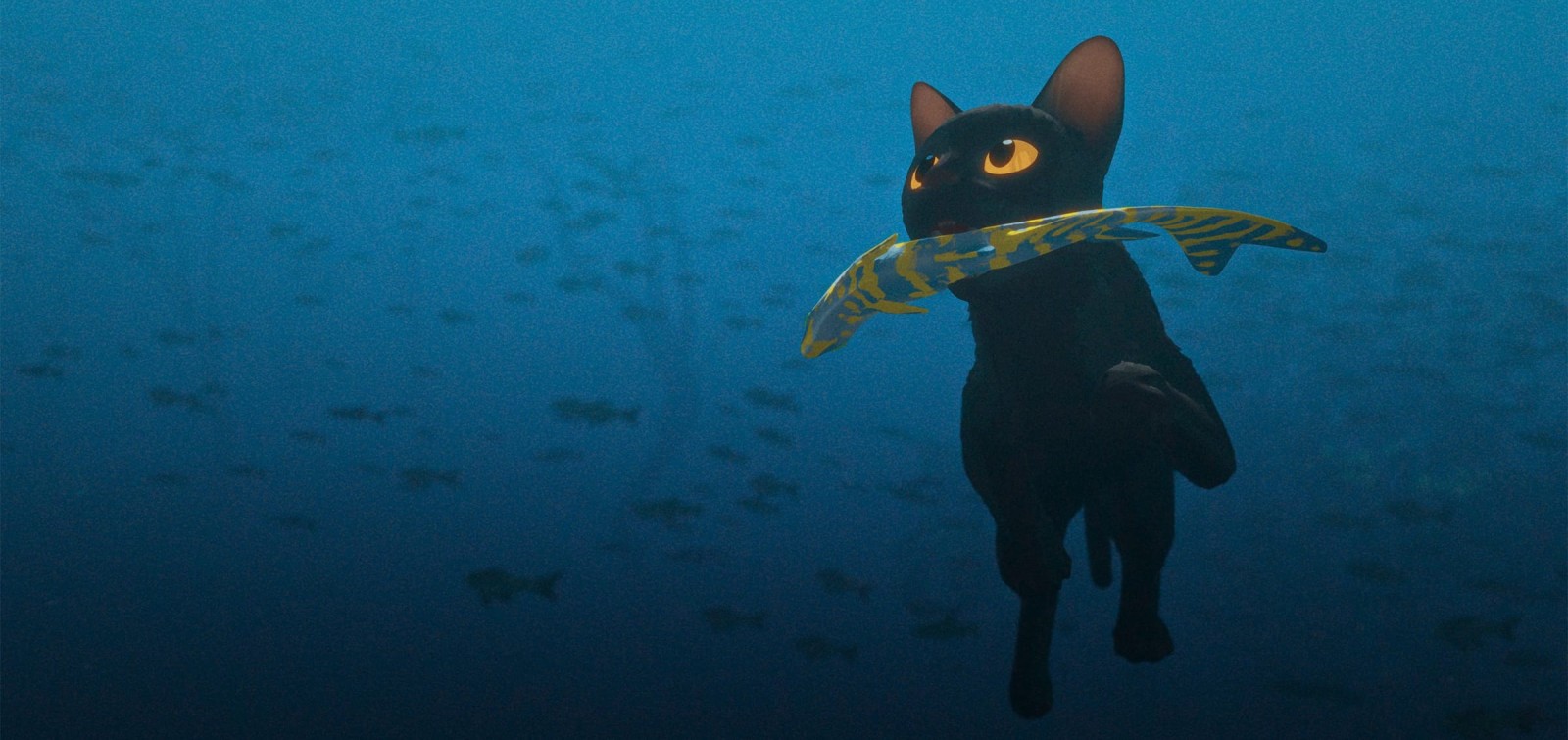 Janus Films — Home