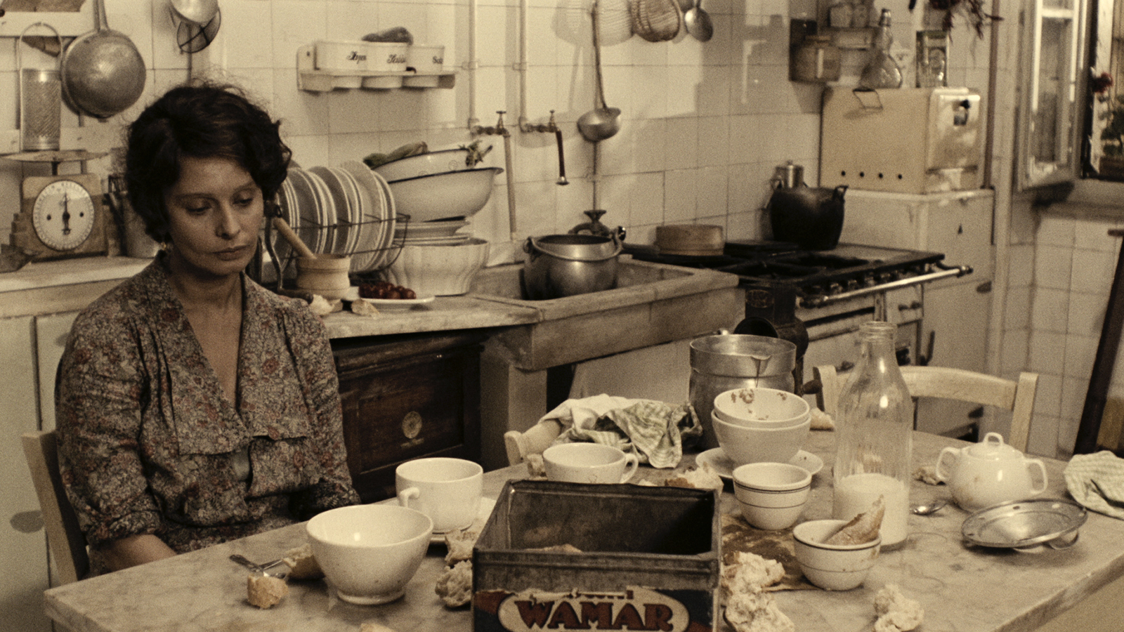 Janus Films — A Special Day