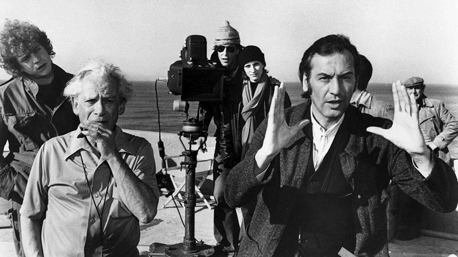 Janus Films — The State of Things