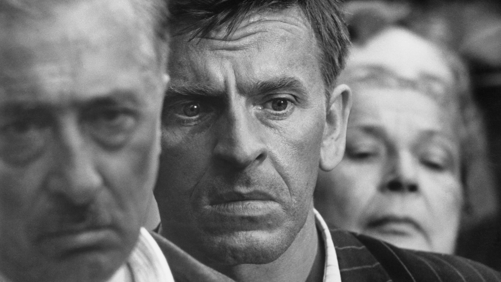 Janus Films — The Shop on Main Street