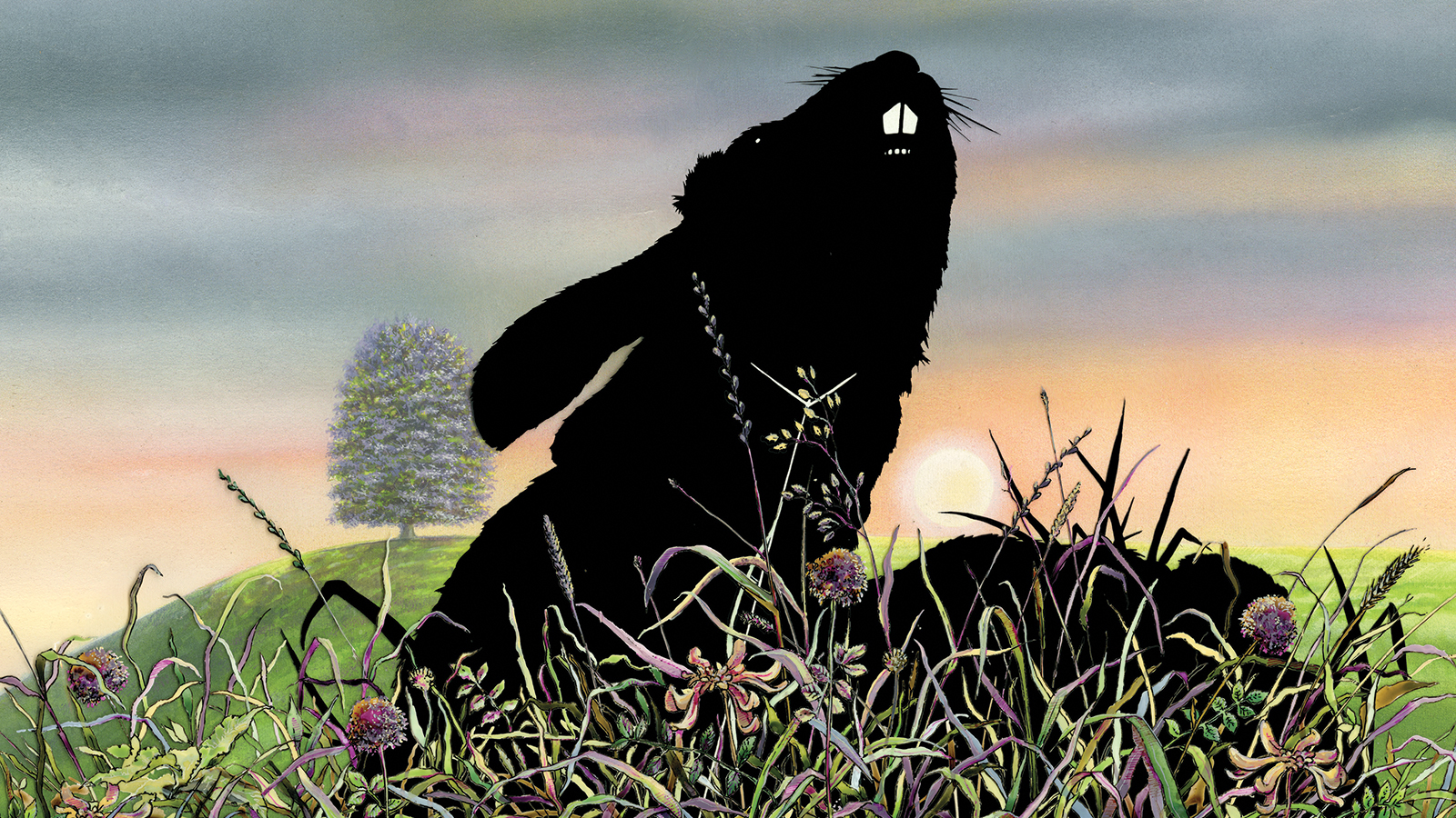 Janus Films — Watership Down