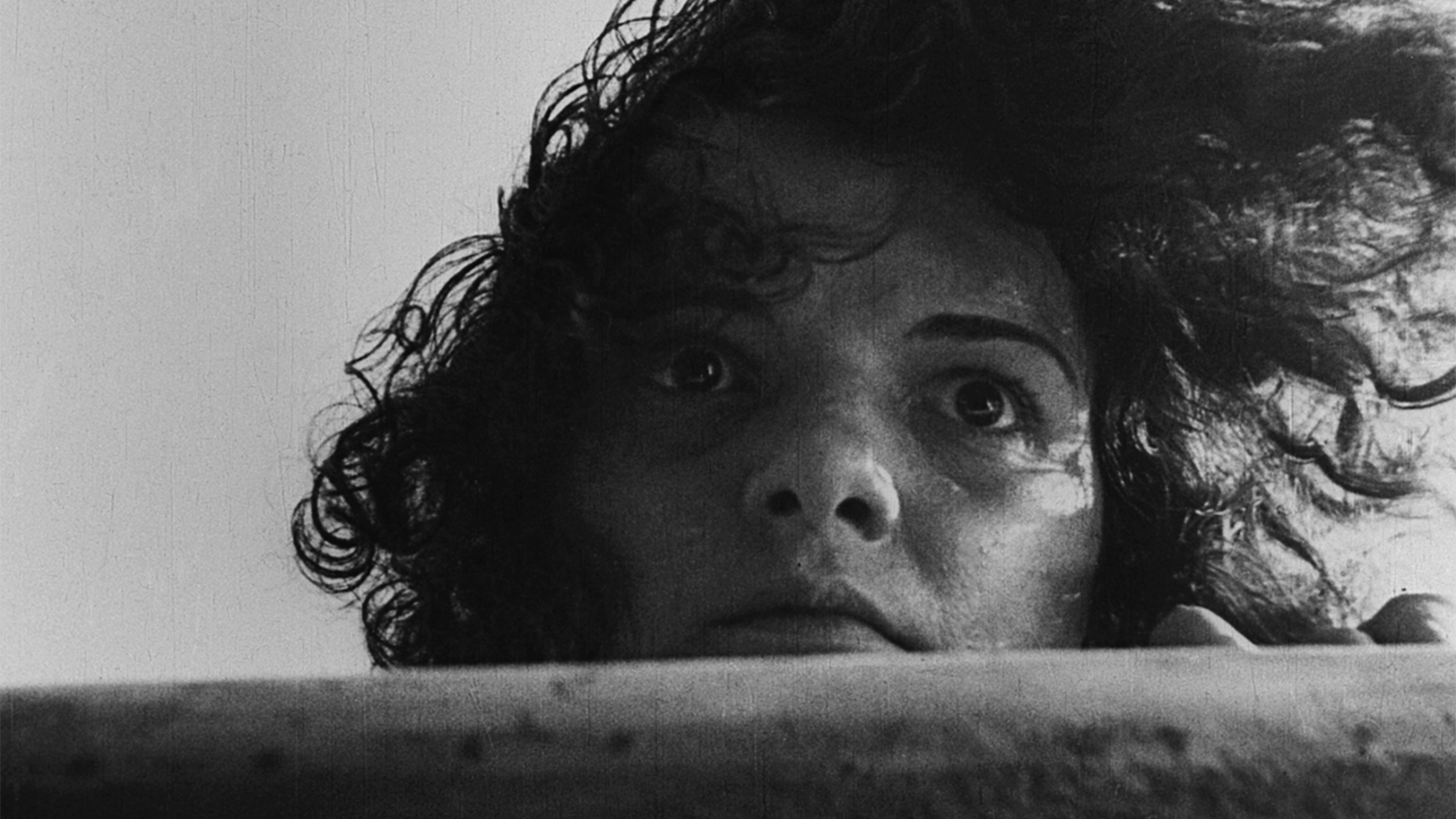 Janus Films — Limite