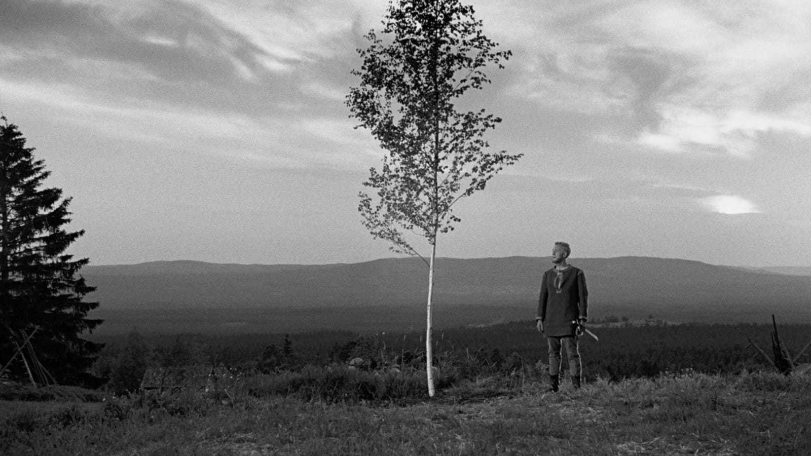 The Virgin Spring 1959
