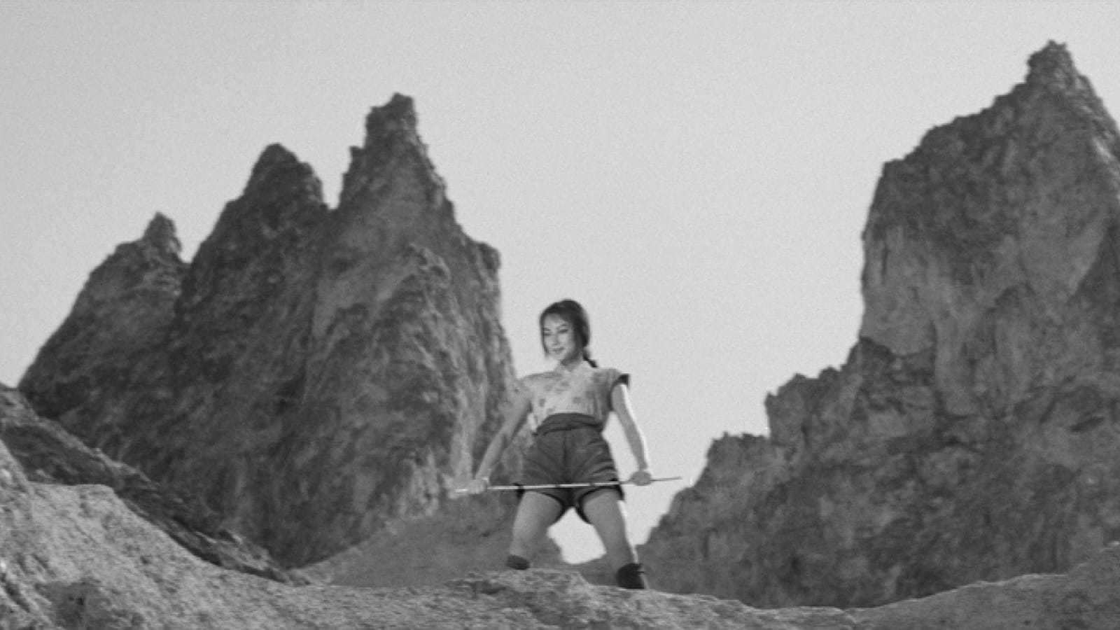 Janus Films — The Hidden Fortress