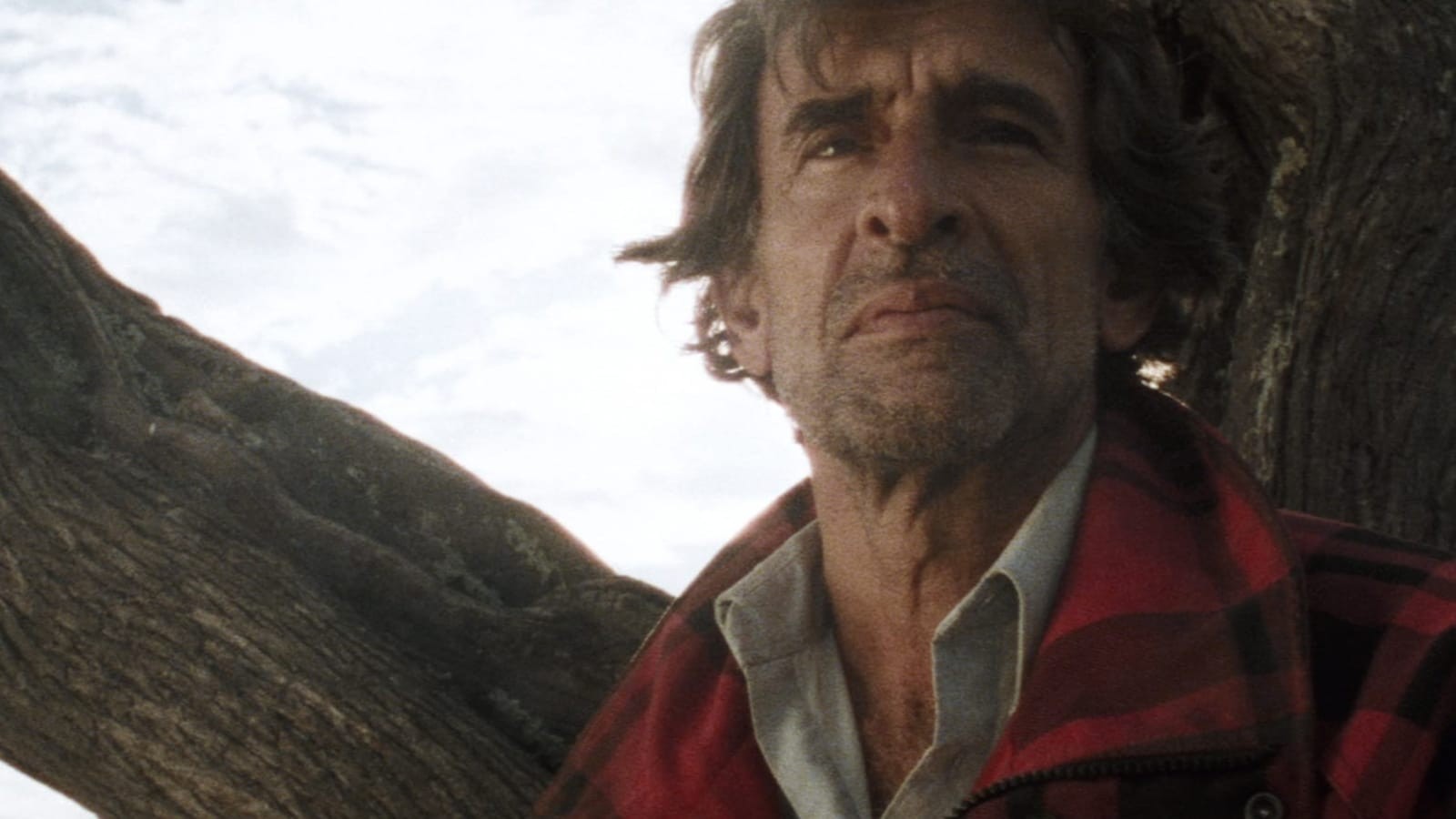 Janus Films — Japón