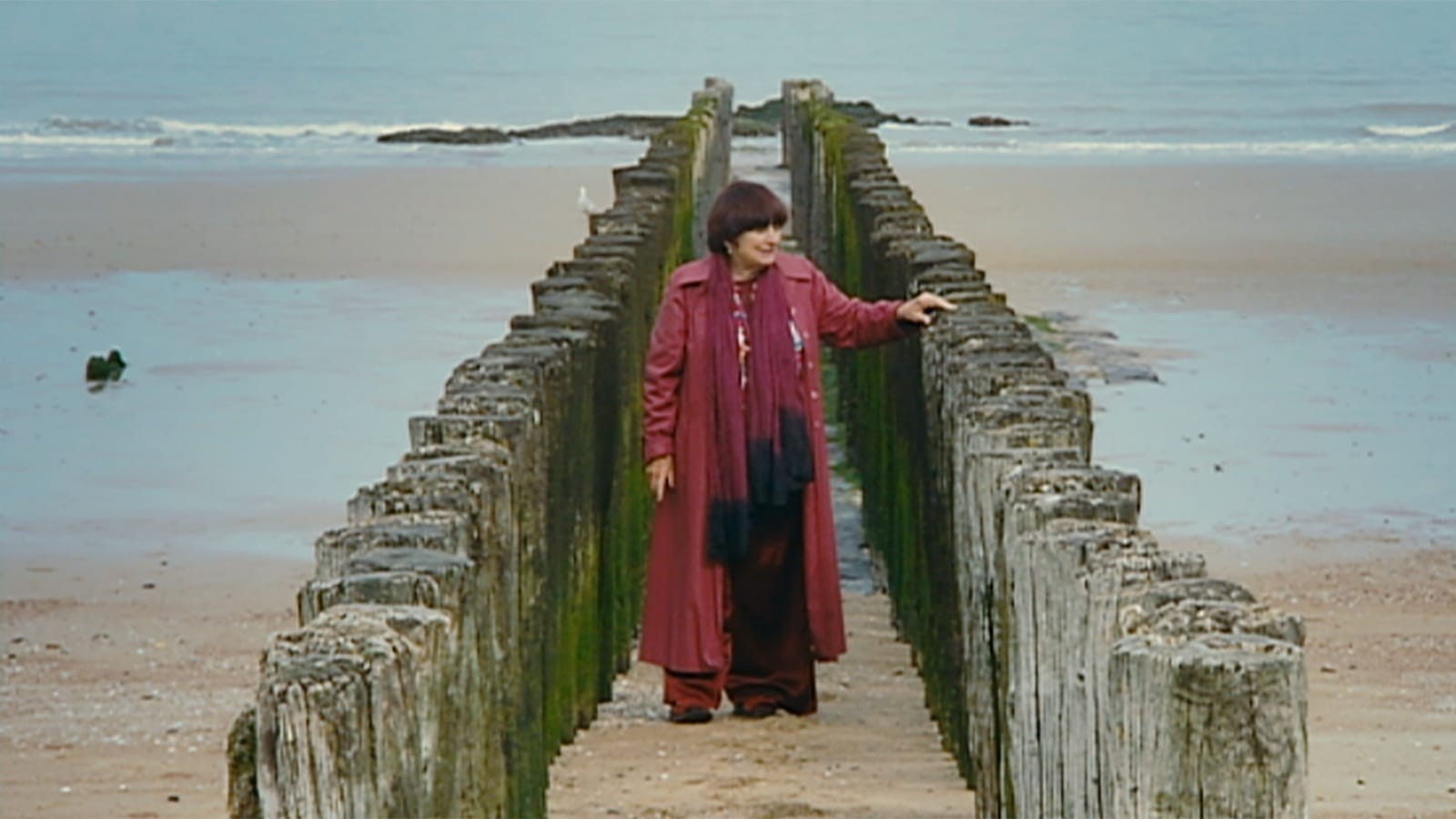 Janus Films — The Beaches of Agnès